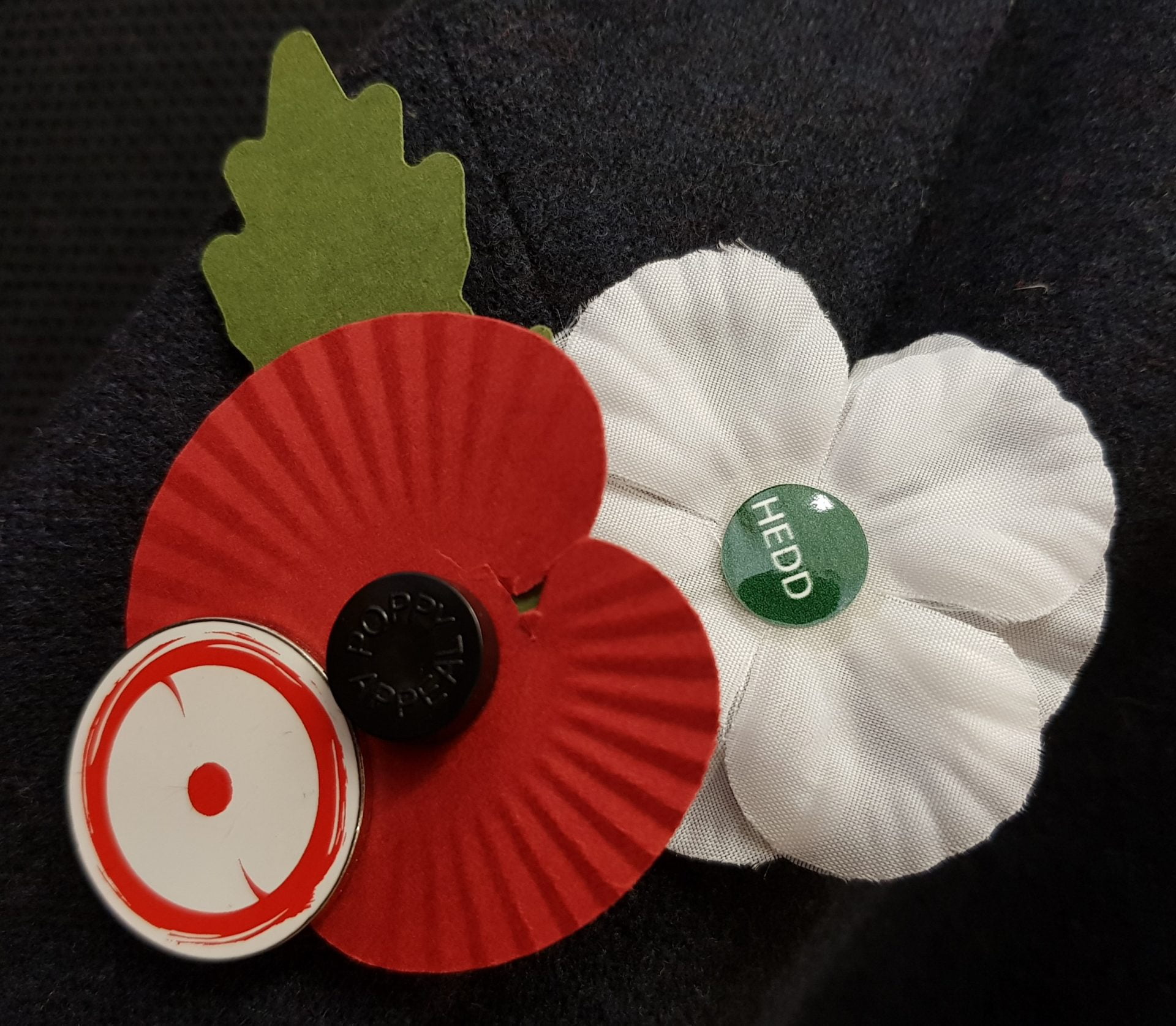 Red and White Poppies - Welsh Centre for International Affairs